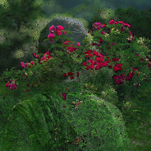 Helen Sear- A Closer Look- In the In-Between