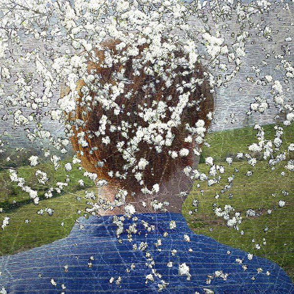 Helen Sear- A Closer Look- In the In-Between