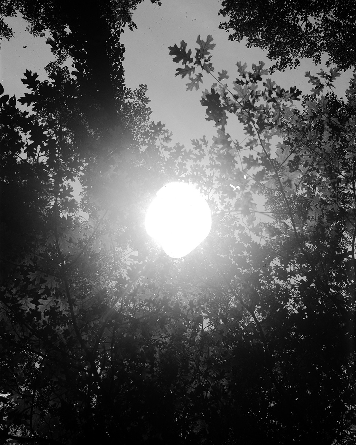 Daniel McCullough– Various Works – In the In-Between